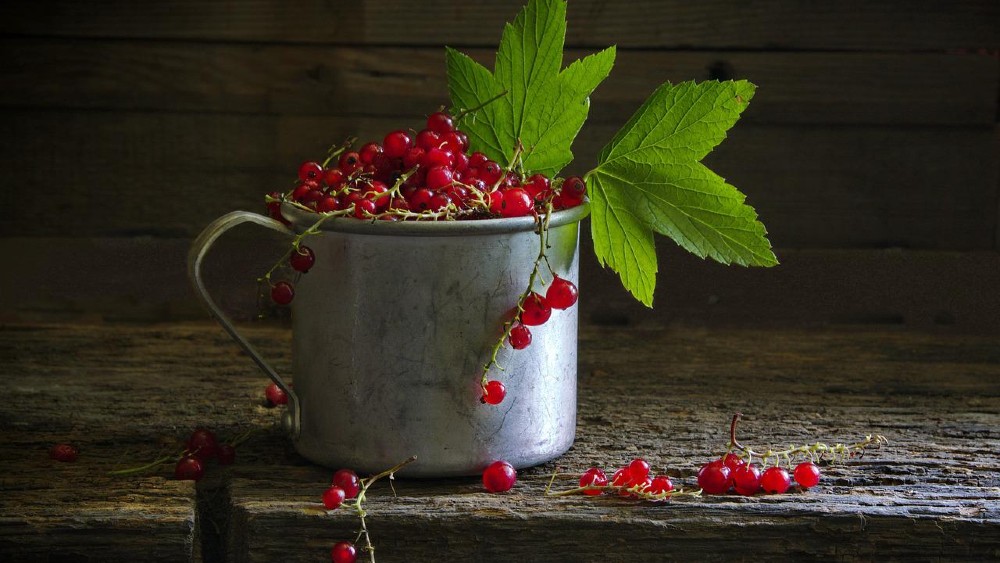 7 dôvodov prečo si dopriať ríbezle | Valachshop.sk