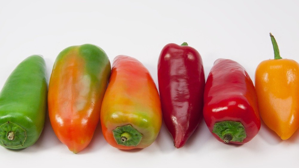 Domáca papriková pomazánka od babičky | Valachshop.sk